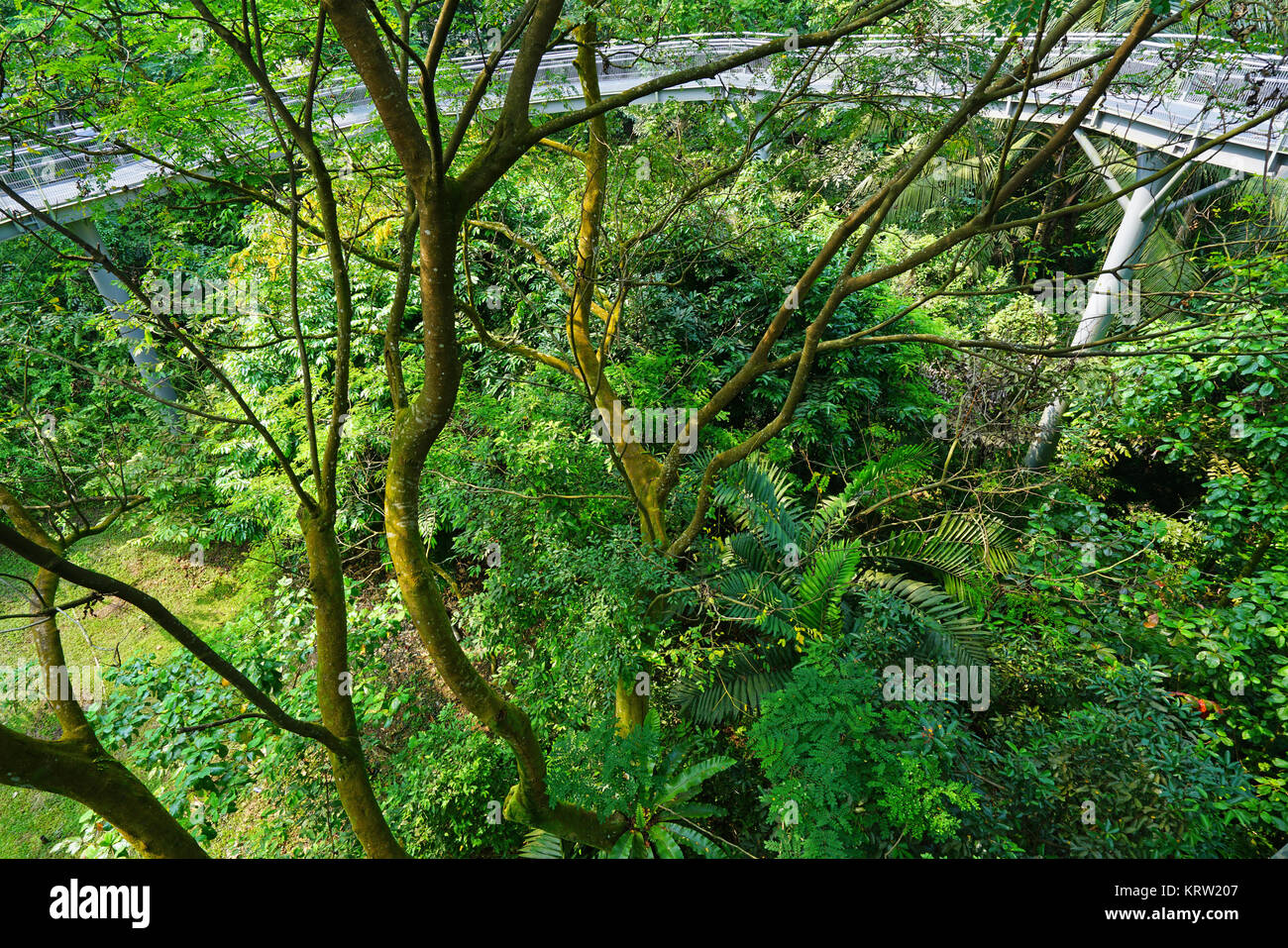 View of the Southern Ridges, a trail connecting parks along the ...