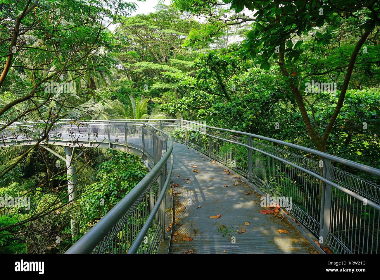 View of the Southern Ridges, a trail connecting parks along the ...