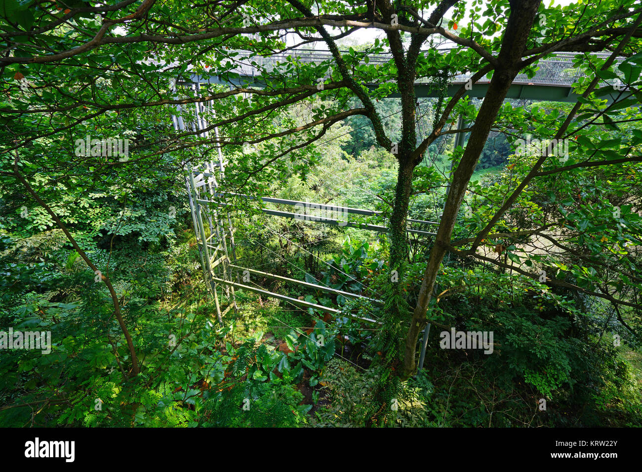 View of the Southern Ridges, a trail connecting parks along the ...