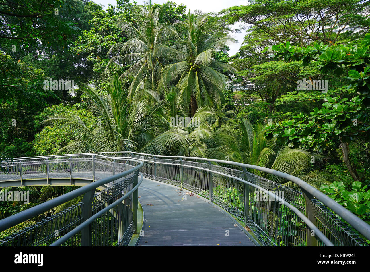 View of the Southern Ridges, a trail connecting parks along the ...