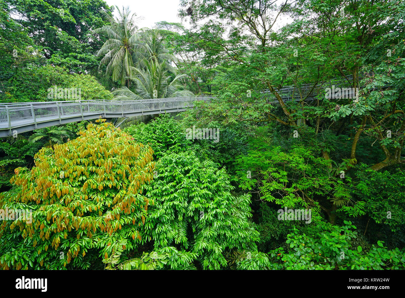 View of the Southern Ridges, a trail connecting parks along the ...