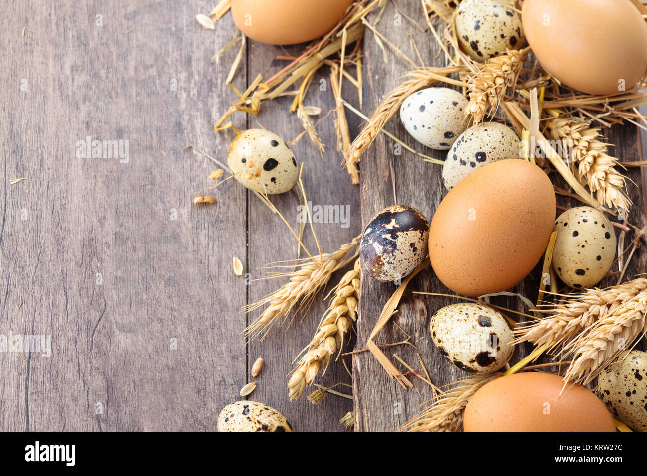 Eggs and strow Stock Photo - Alamy