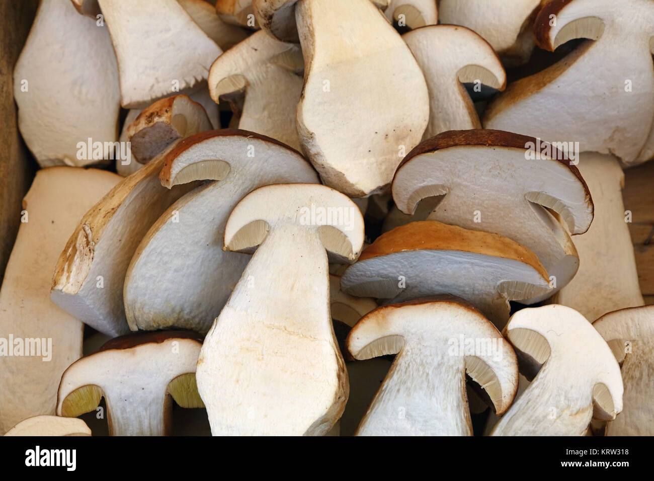 Mushrooms on display farmers market hi-res stock photography and images ...
