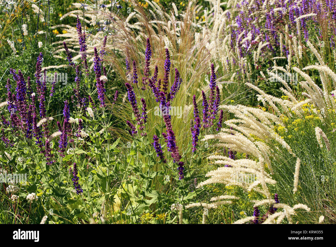 Stem covering hi-res stock photography and images - Alamy