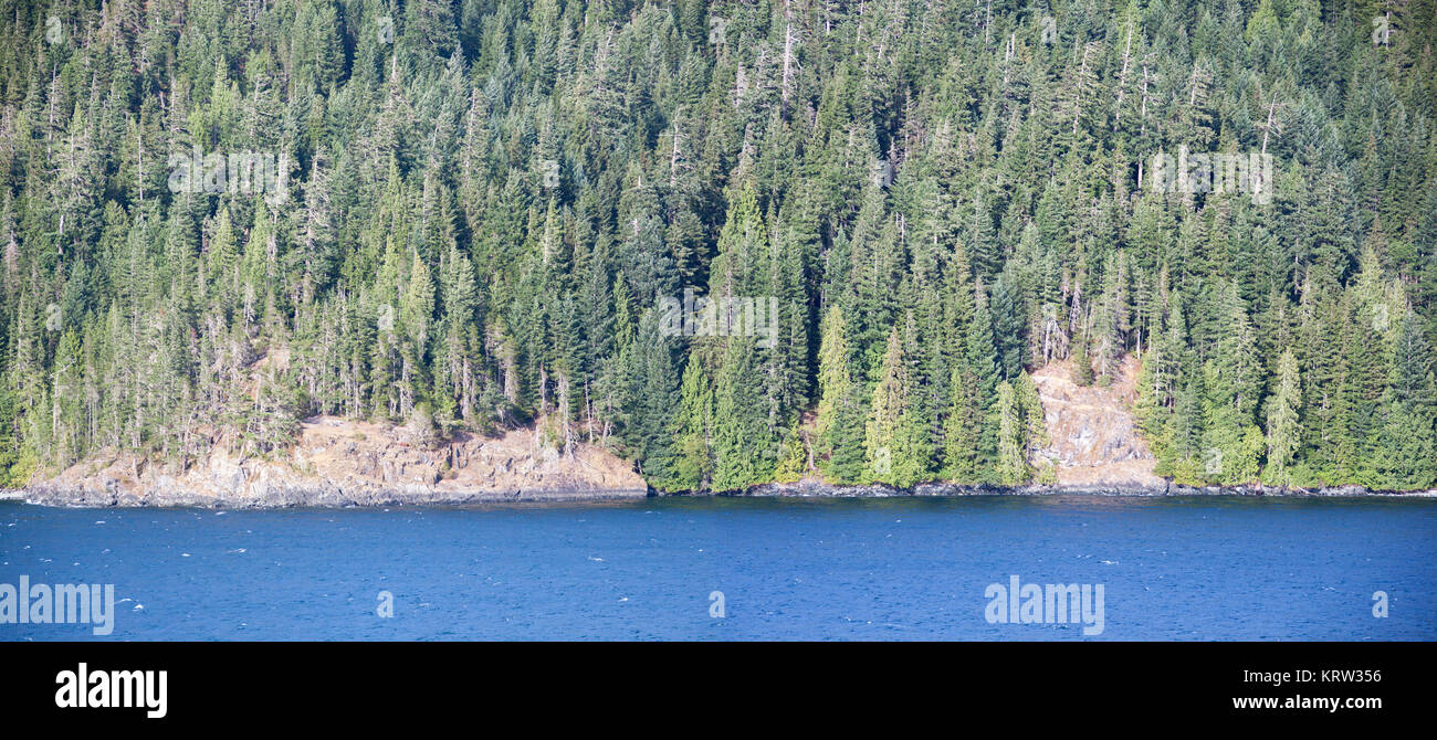 Canadian Forest Panorama Stock Photo - Alamy