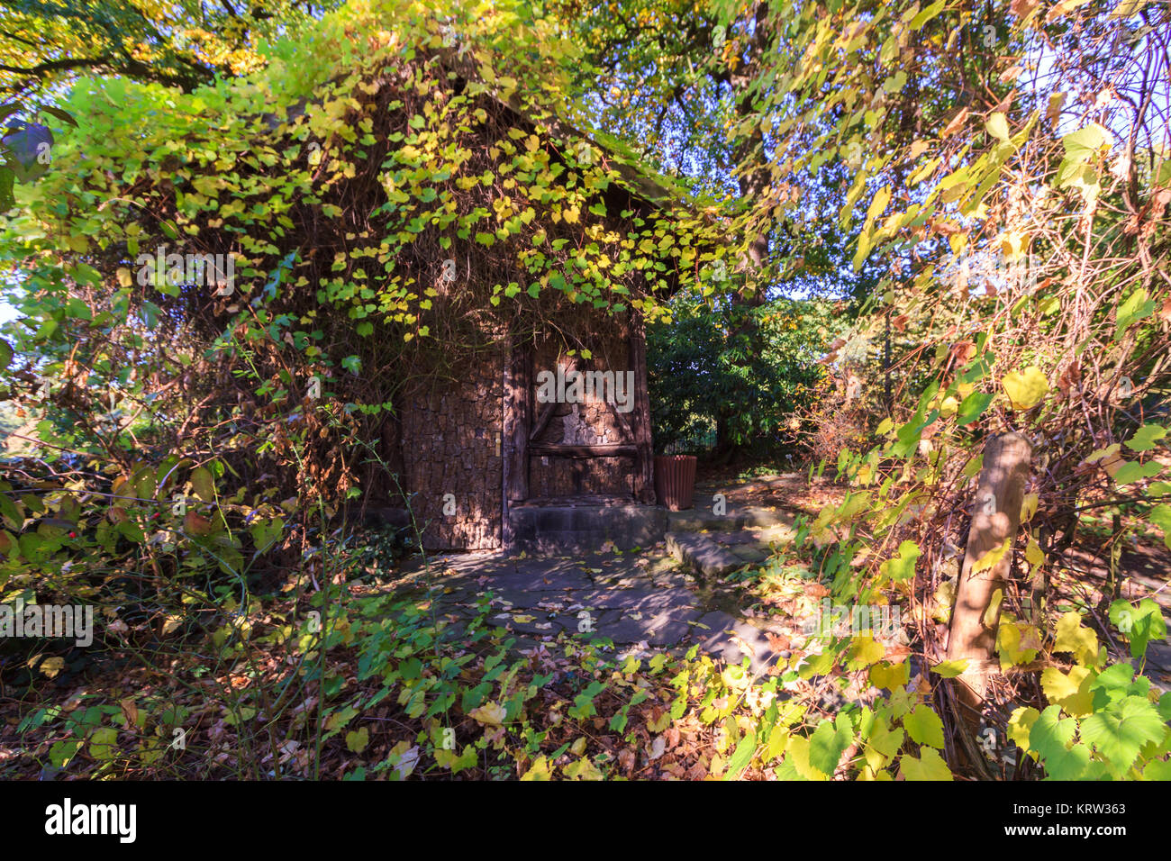 a overgrown hut Stock Photo - Alamy