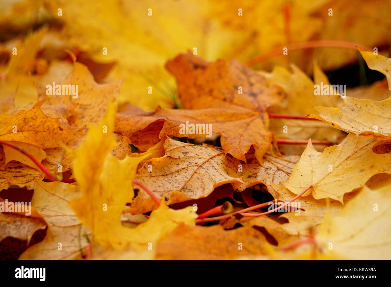 Stem the flow hi-res stock photography and images - Alamy