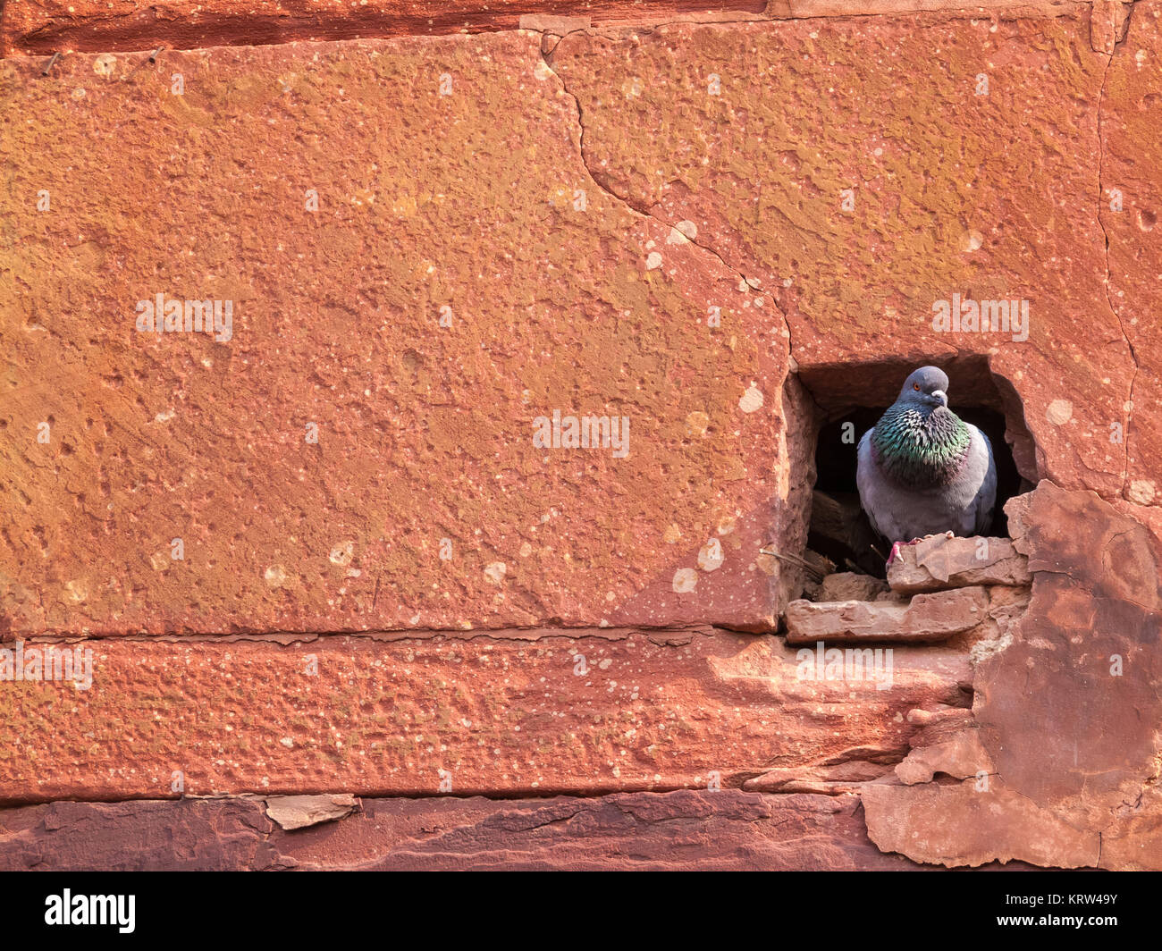 Pigeon Hole in Agra Fort Stock Photo - Alamy