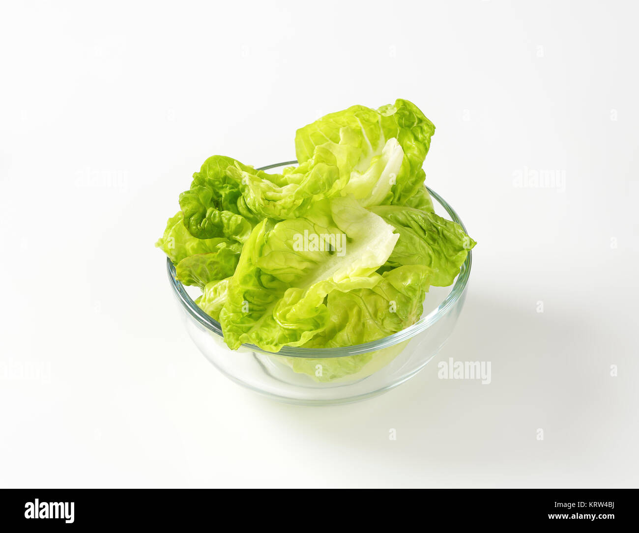 Little gem lettuce Stock Photo - Alamy