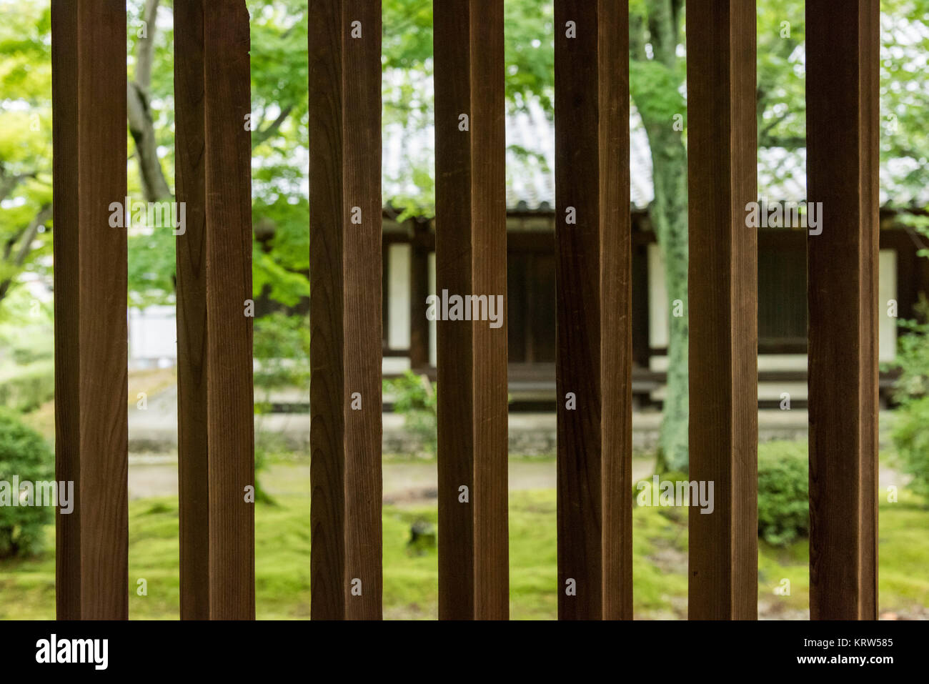 Horyuji temple, Ikaruga Town, Ikoma District, Nara Prefecture, Japan ...
