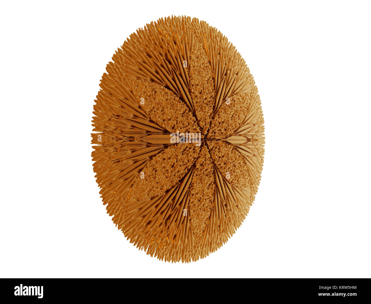 patterns and structures free Stock Photo - Alamy