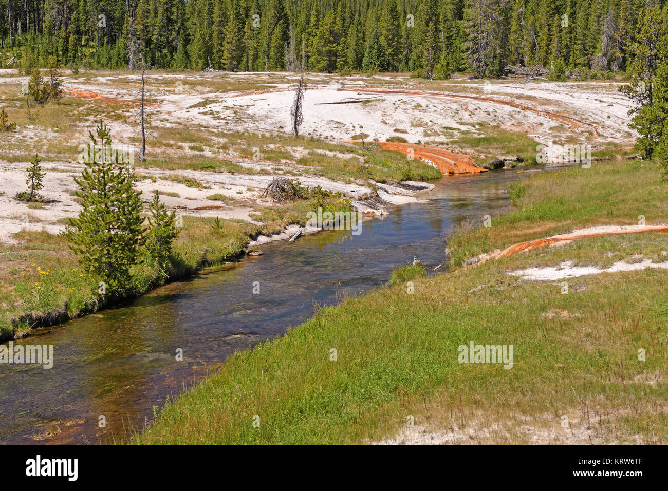 Quiet Stream Through a Thermal Area Stock Photo - Alamy