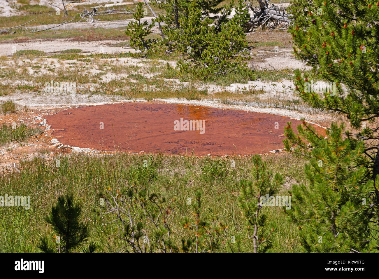 Red Pool in the Wilds Stock Photo - Alamy