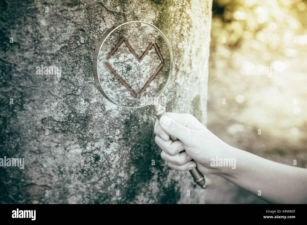 Find the true love,cross processed colors Stock Photo - Alamy