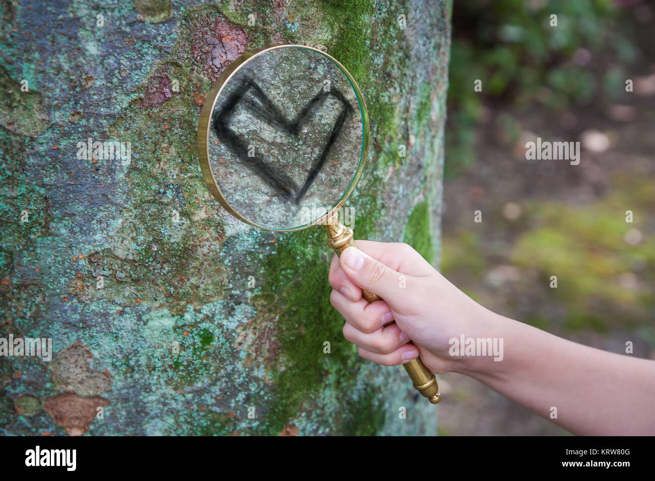 Find the true love Stock Photo - Alamy