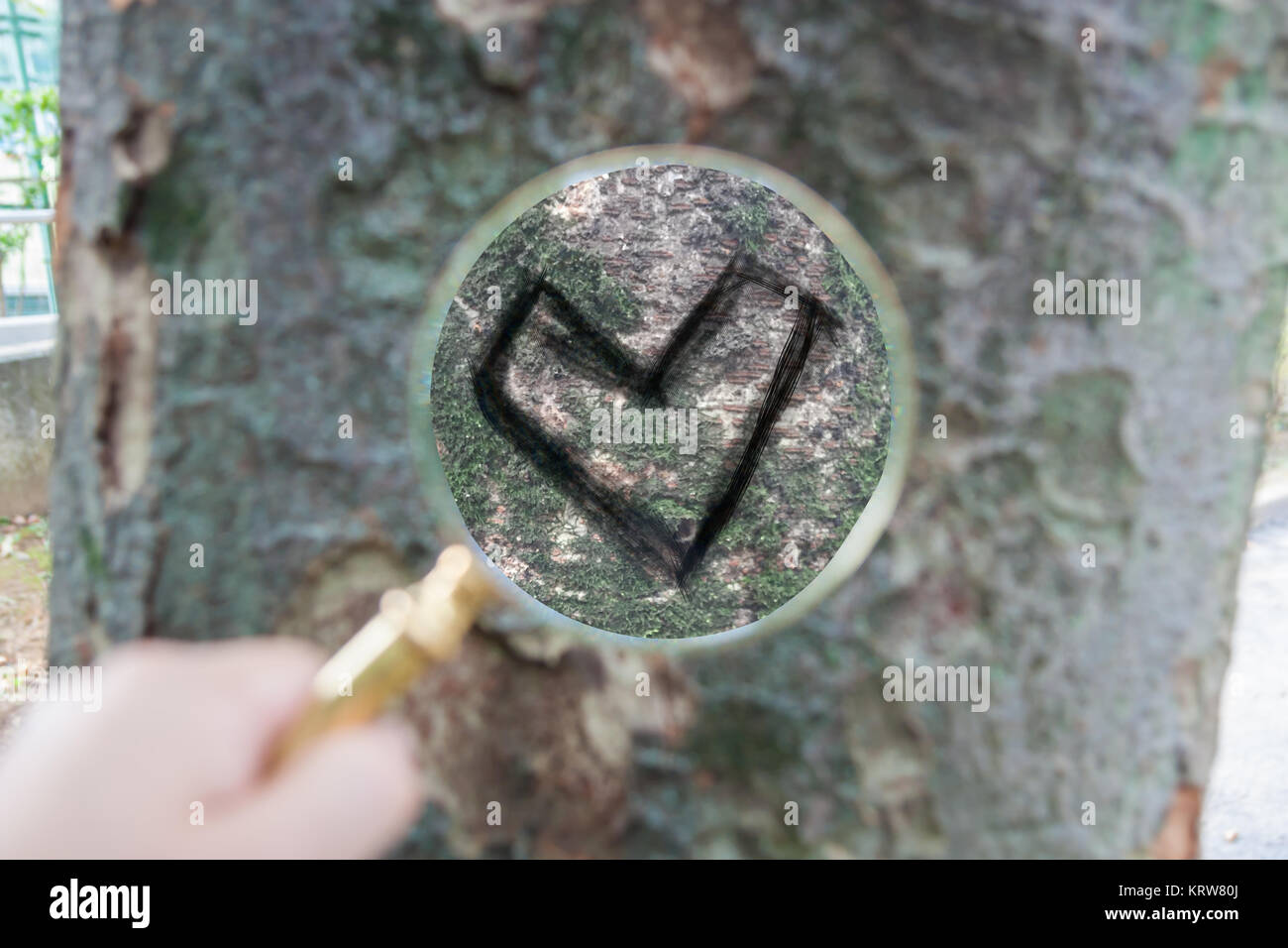 Find the true love Stock Photo - Alamy