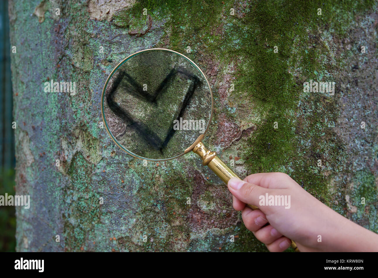 Find the true love Stock Photo - Alamy