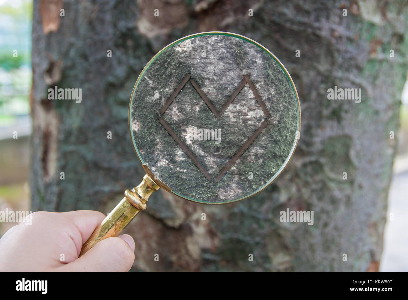 Find the true love Stock Photo - Alamy