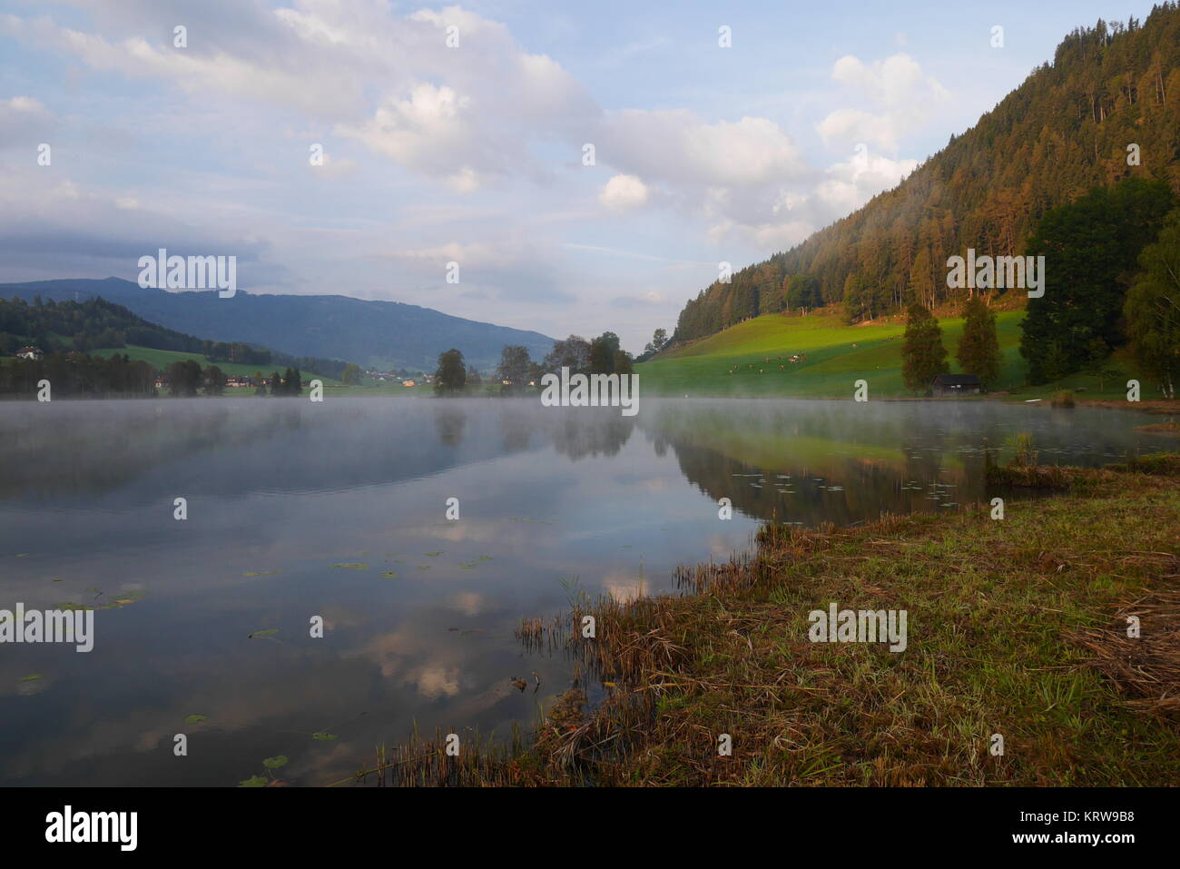 putterersee in the morning mist Stock Photo - Alamy