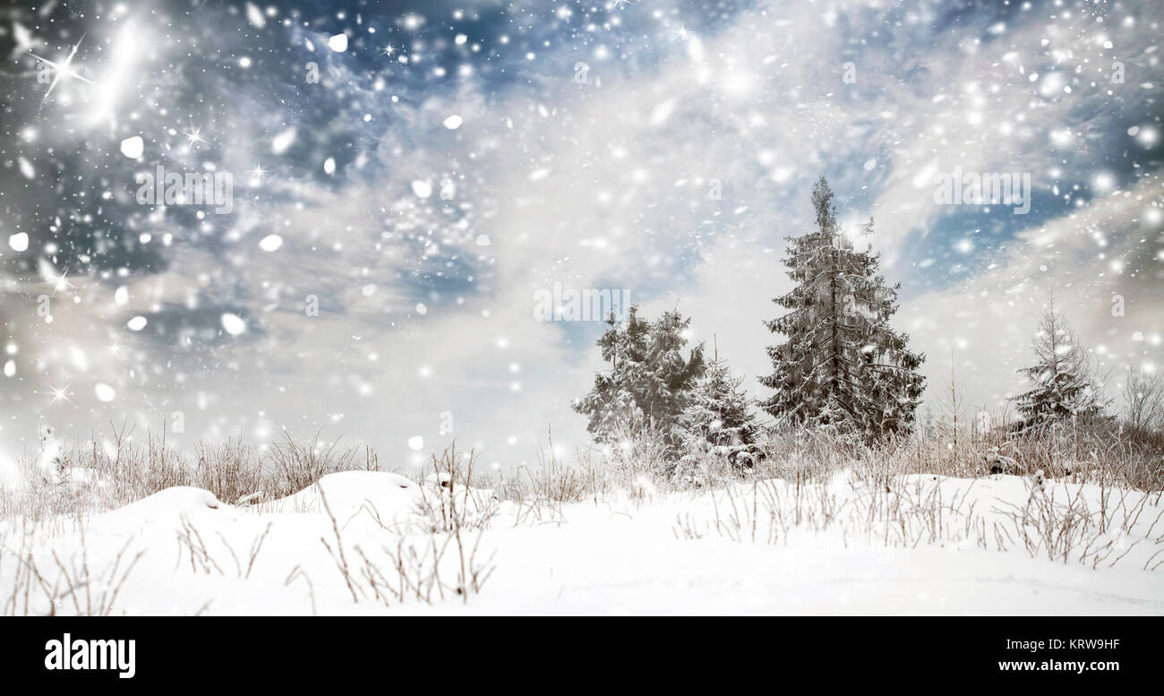 Christmas background with snowy fir trees Stock Photo - Alamy