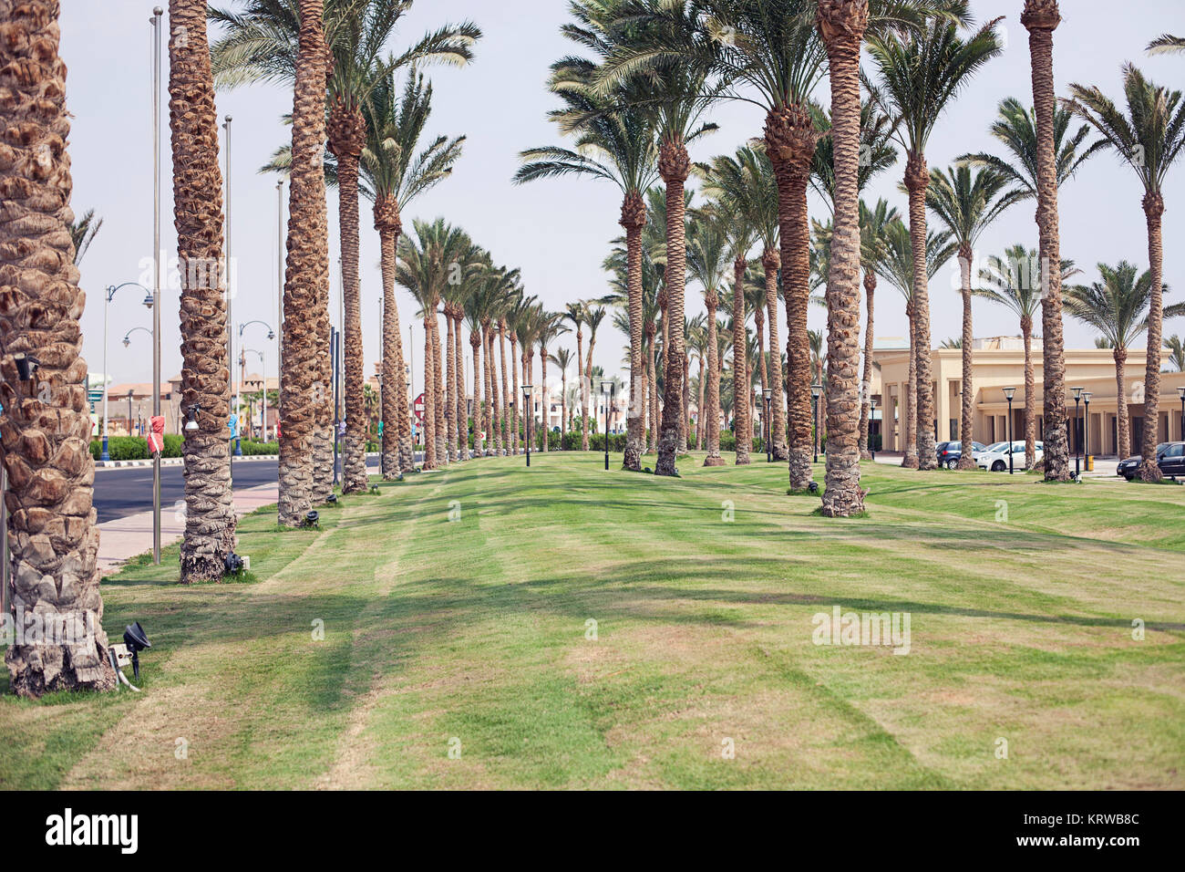 Red Sea shore, Sharm el Sheikh, Egypt Stock Photo - Alamy