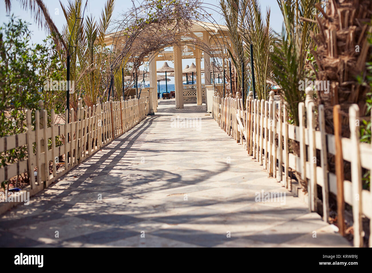 Red Sea shore, Sharm el Sheikh, Egypt Stock Photo - Alamy