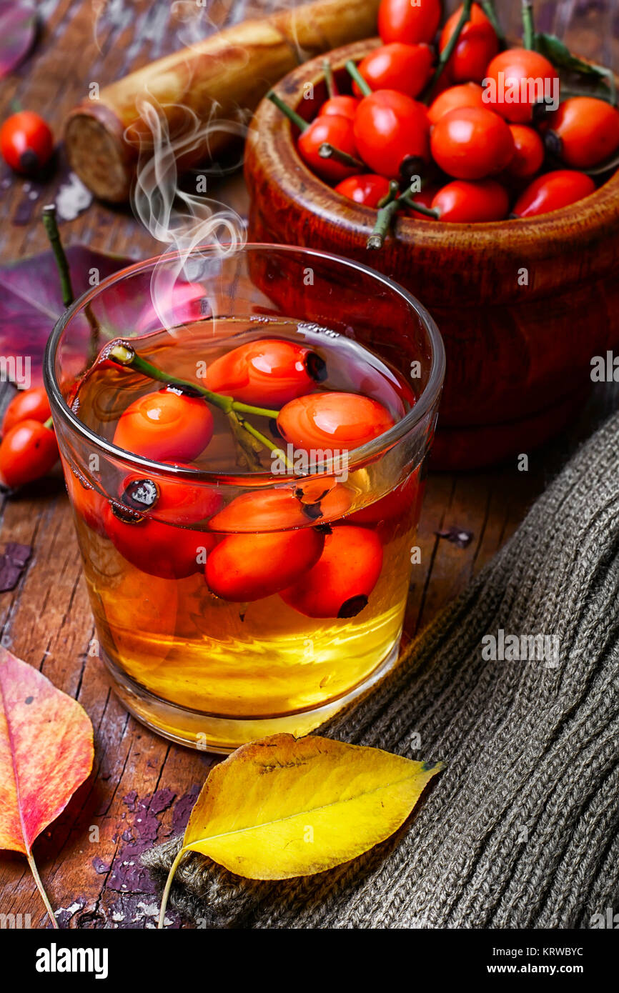 medical tea with ripe berries of the autumn rose Stock Photo - Alamy