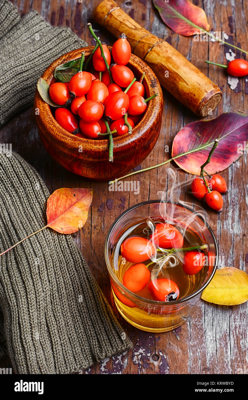 medical tea with ripe berries of the autumn rose Stock Photo - Alamy