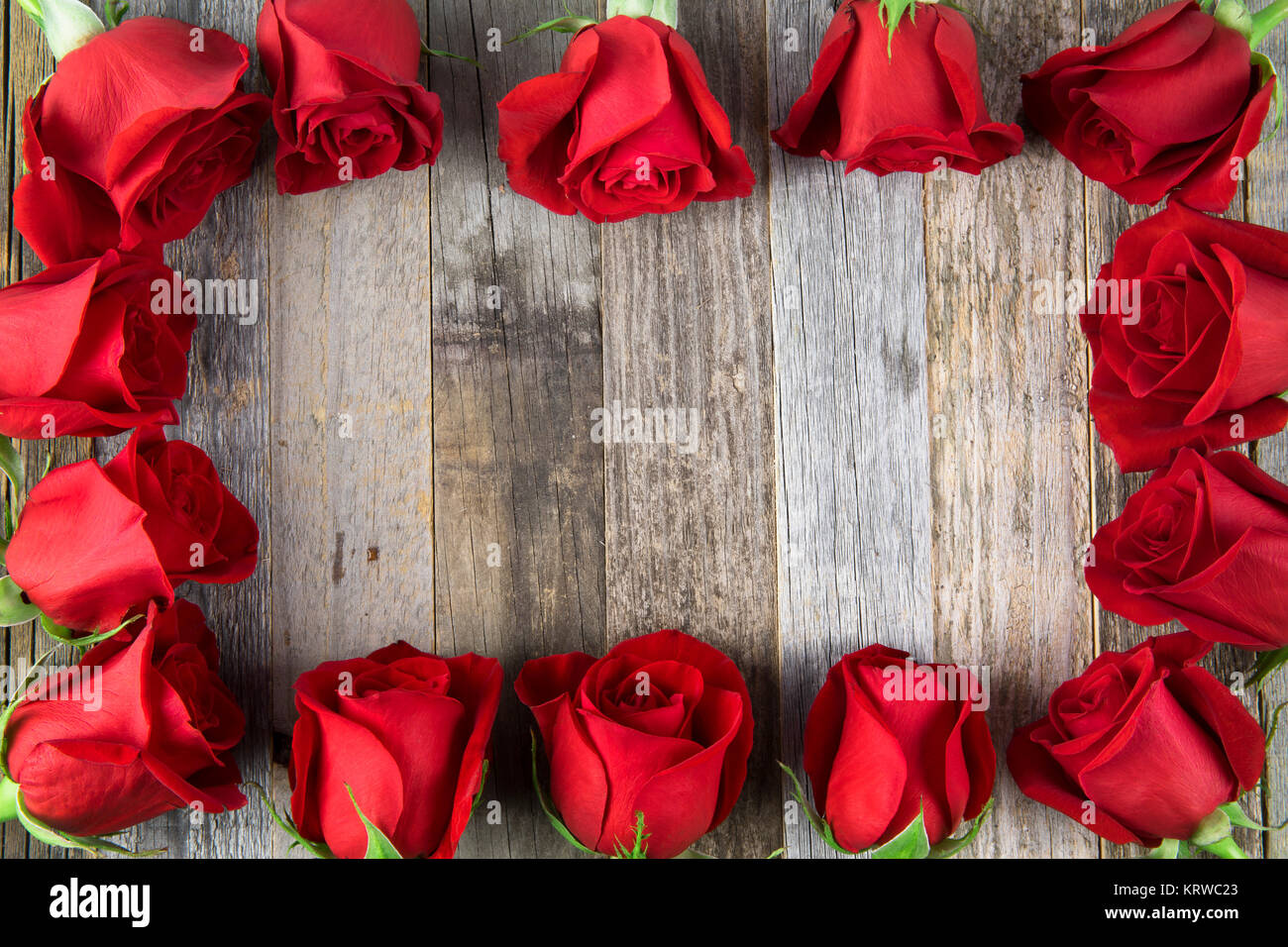 Red Rose Frame Stock Photo - Alamy