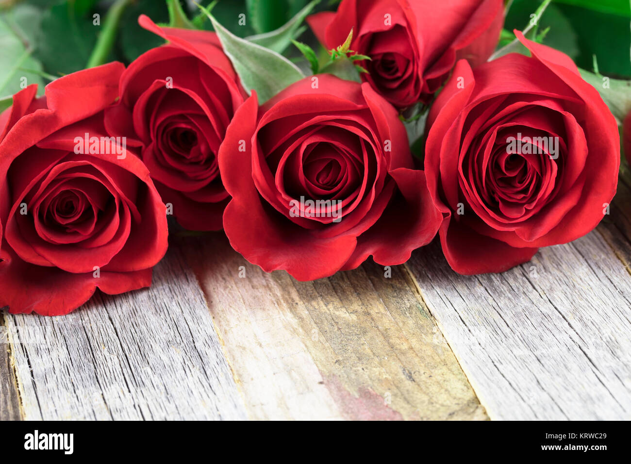 Romantic Red Roses Stock Photo - Alamy