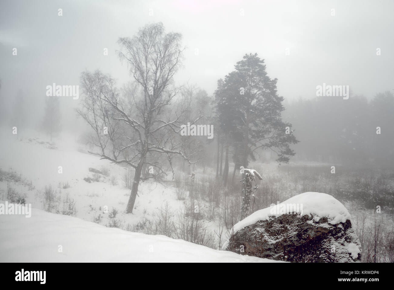 A frozen Winter landscape a foggy morning Stock Photo - Alamy