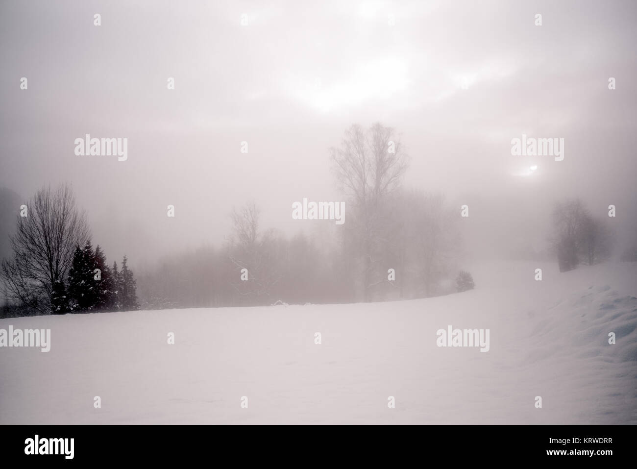 A frozen Winter landscape a foggy morning Stock Photo - Alamy