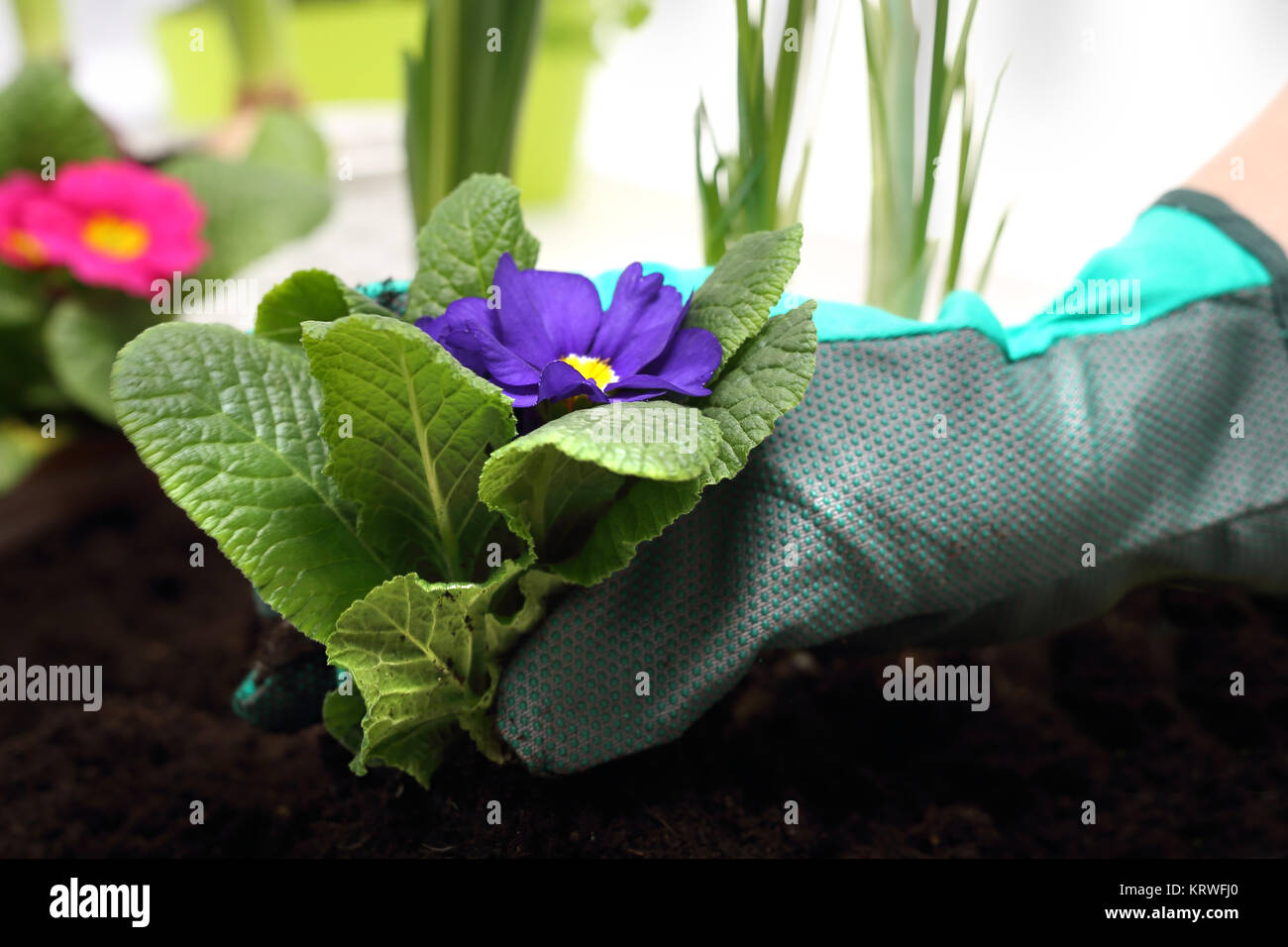 Primitives hi-res stock photography and images - Alamy