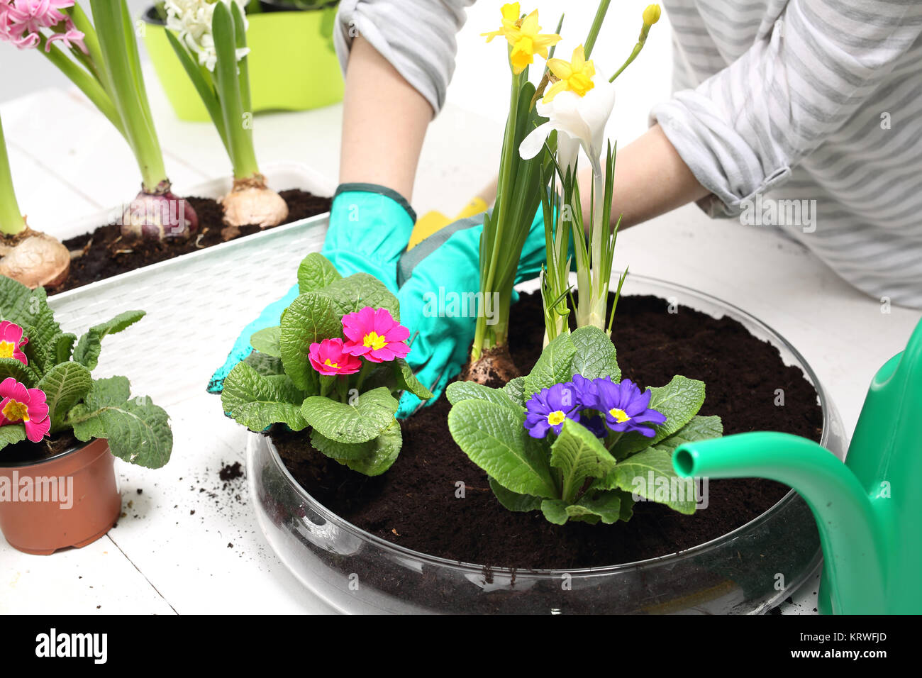 planting flowers planting flowers,flower arrangement Stock Photo - Alamy