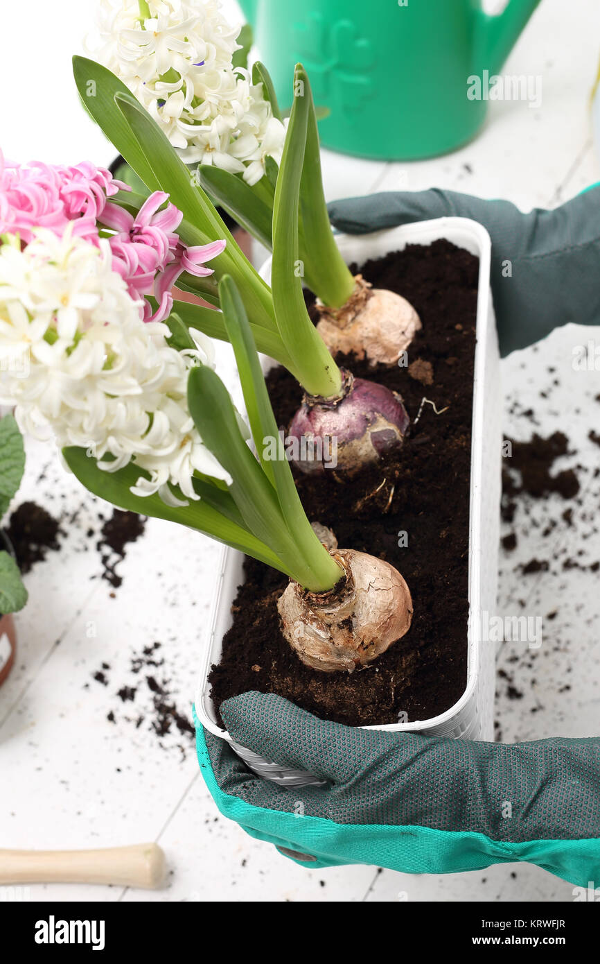 Body composition monitor hi-res stock photography and images - Alamy