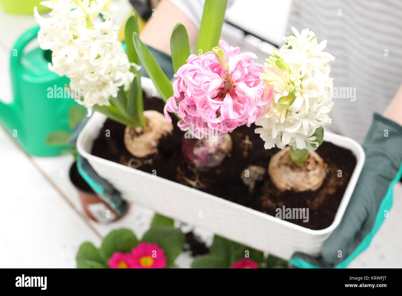 Body composition monitor hi-res stock photography and images - Alamy