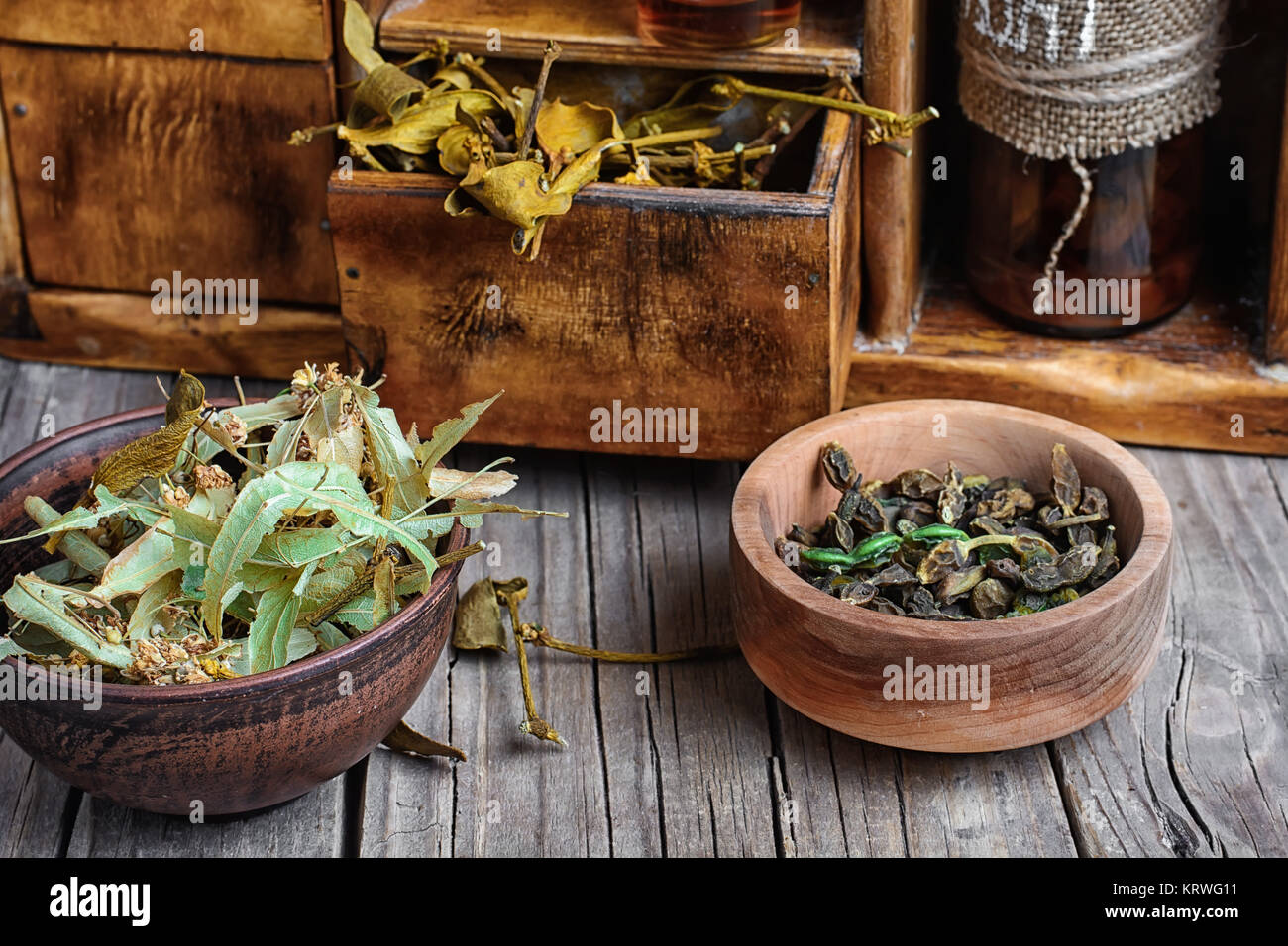 collection of medicinal herbs and plants from the pharmaceutical locker ...