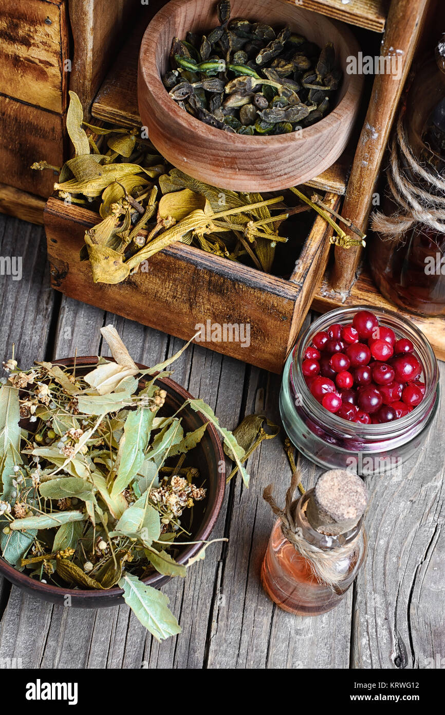 collection of medicinal herbs and plants from the pharmaceutical locker ...