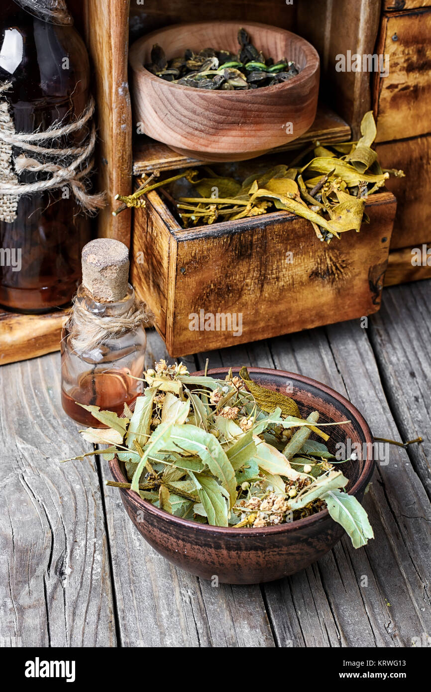 collection of medicinal herbs and plants from the pharmaceutical locker ...