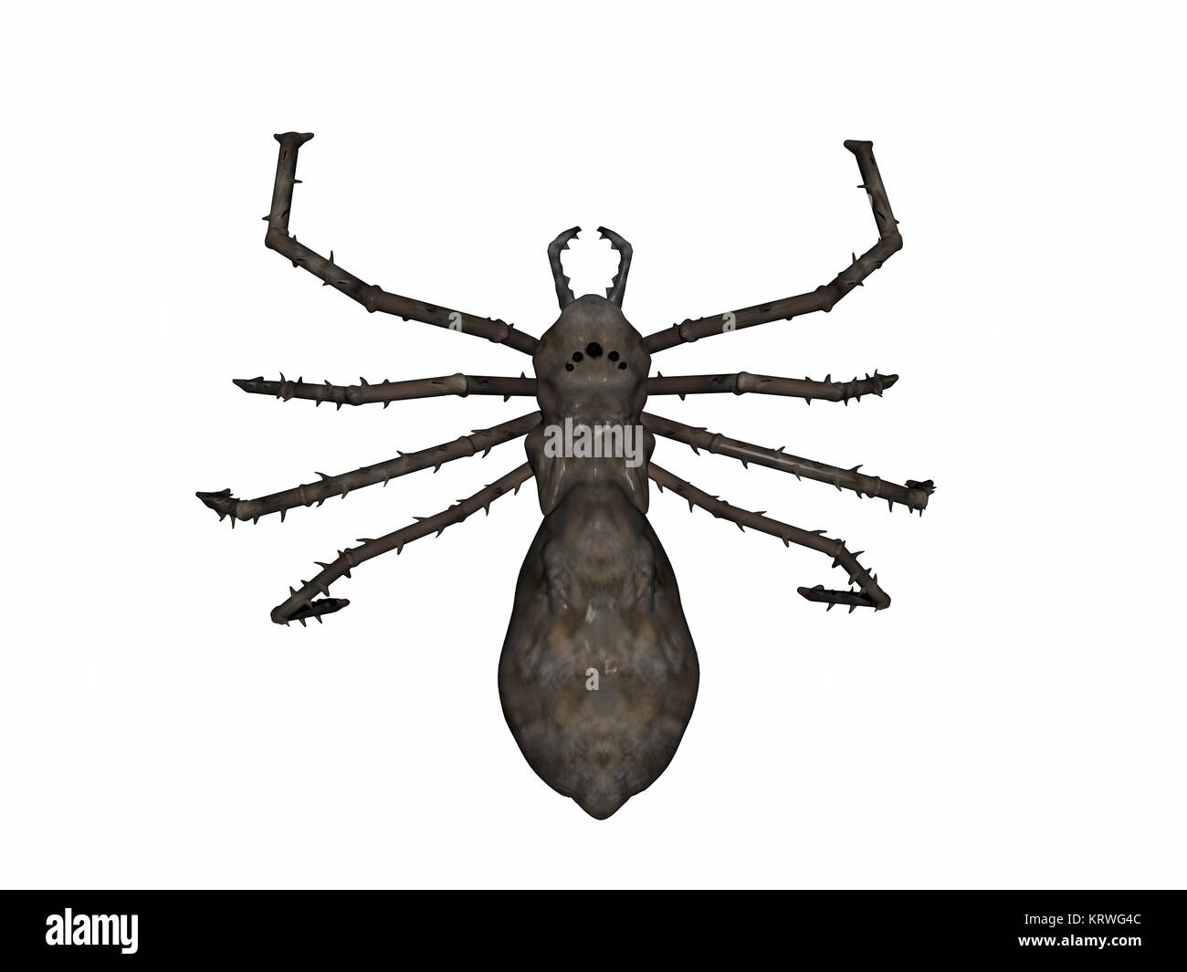 monster spider released Stock Photo - Alamy