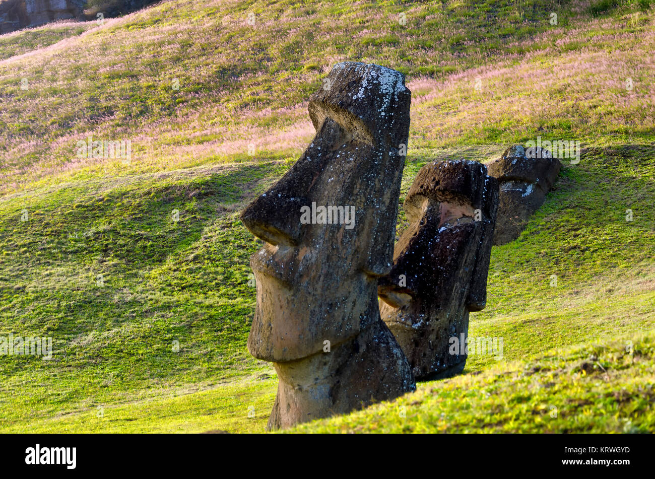 Moai Heads View Stock Photo - Alamy