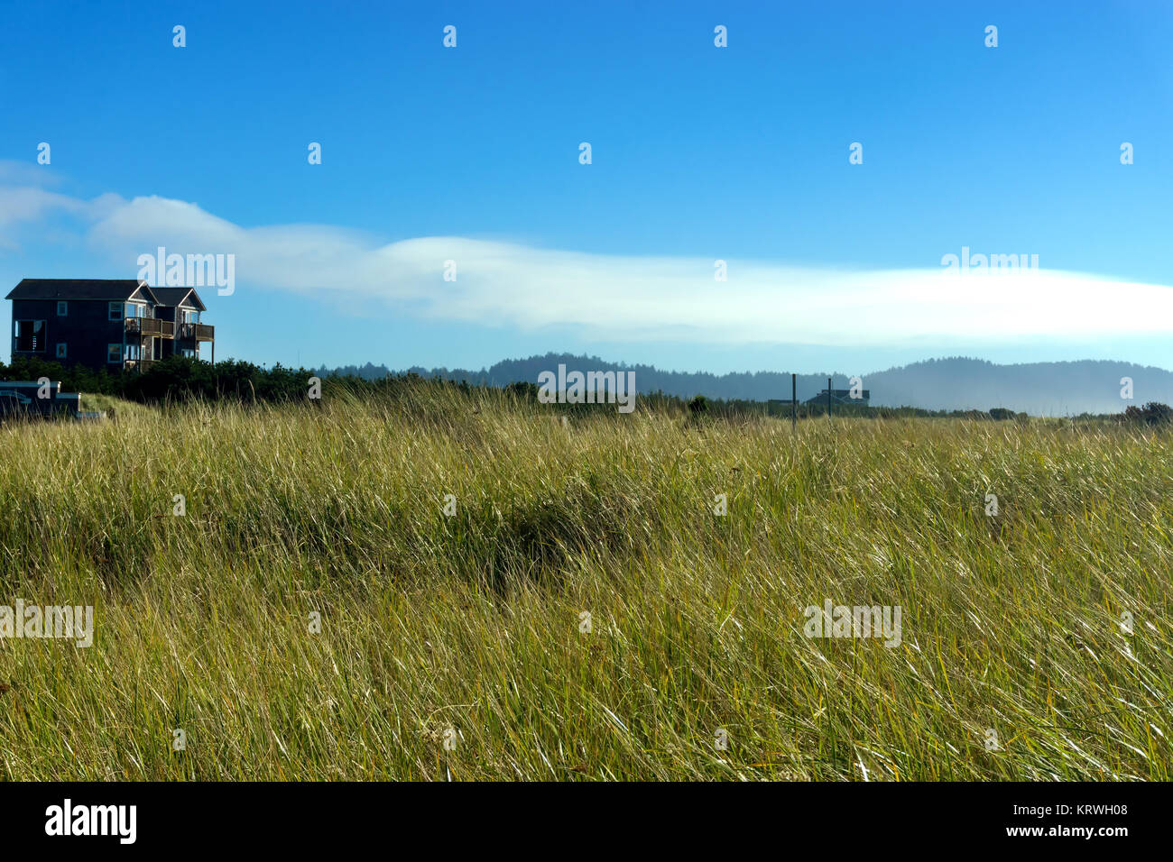 Landscape in Long Beach, Washington Stock Photo - Alamy