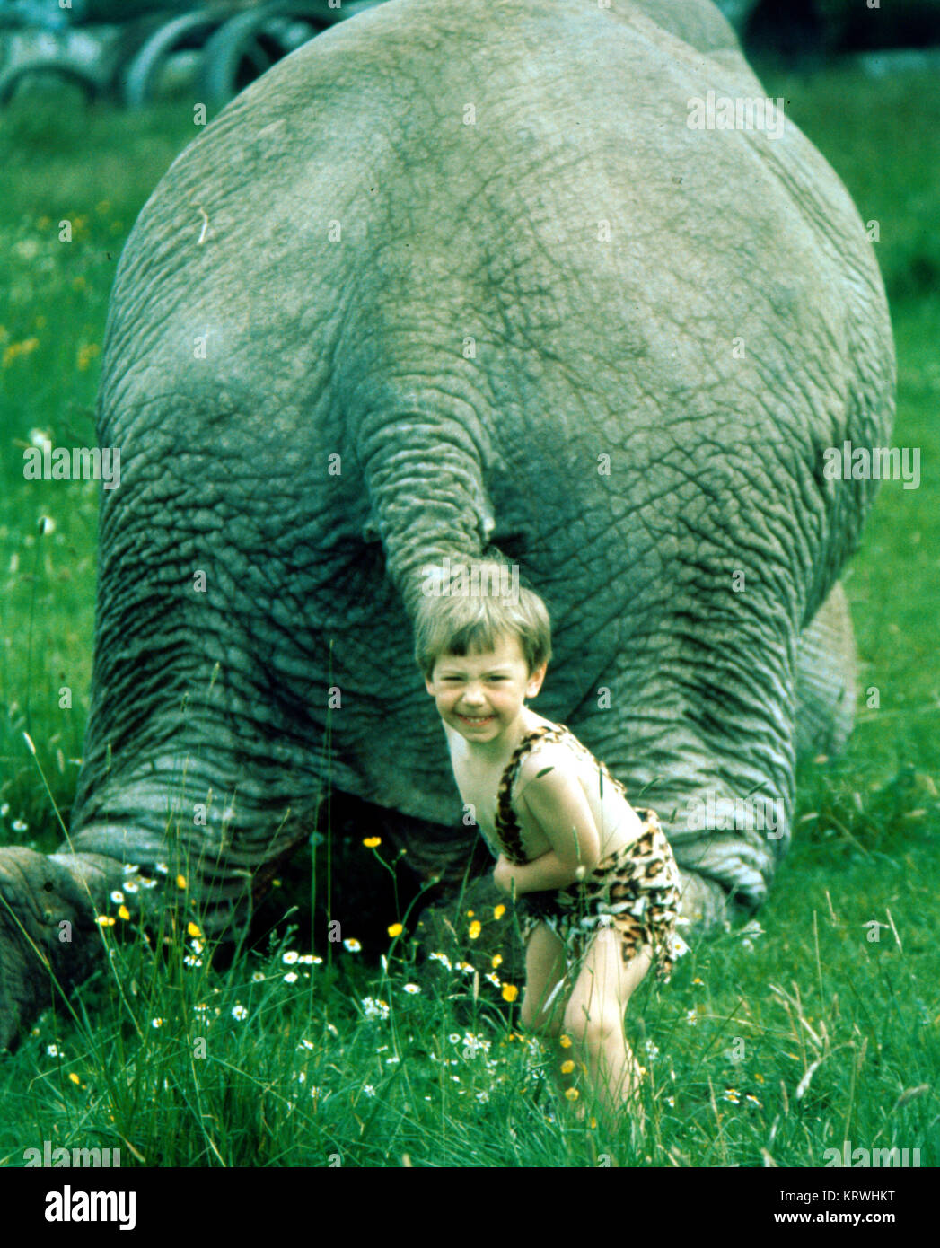 Child pulls elephant on tail, England, Great Britain Stock Photo - Alamy