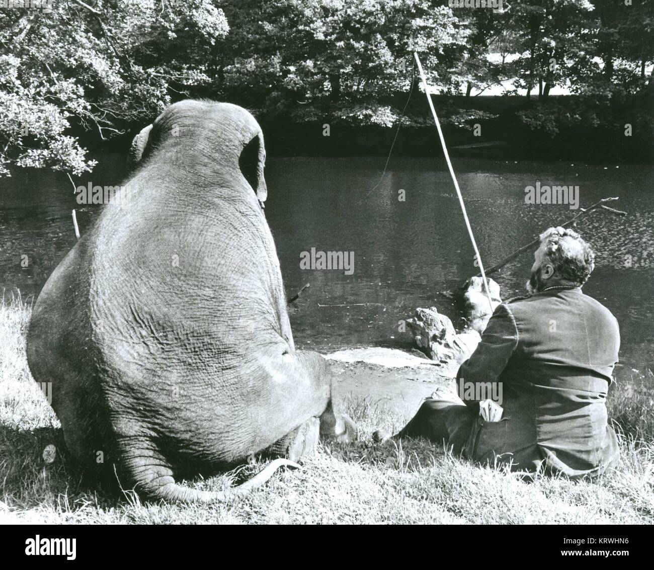 Man and elephant fishing, England, Great Britain Stock Photo - Alamy