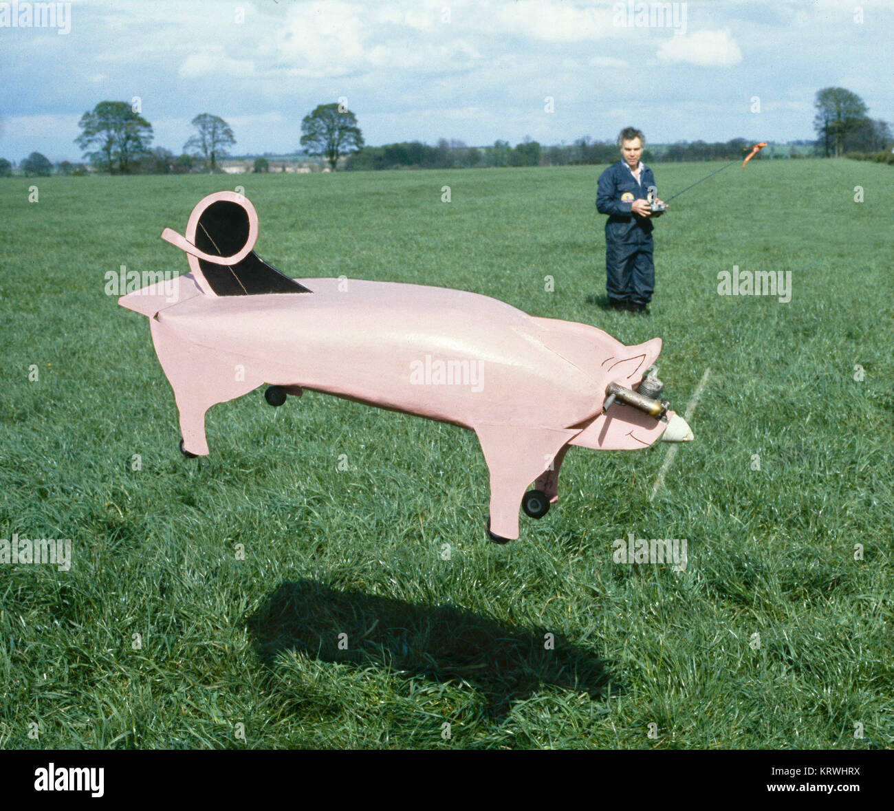 Flying Pig, England, Great Britain Stock Photo - Alamy