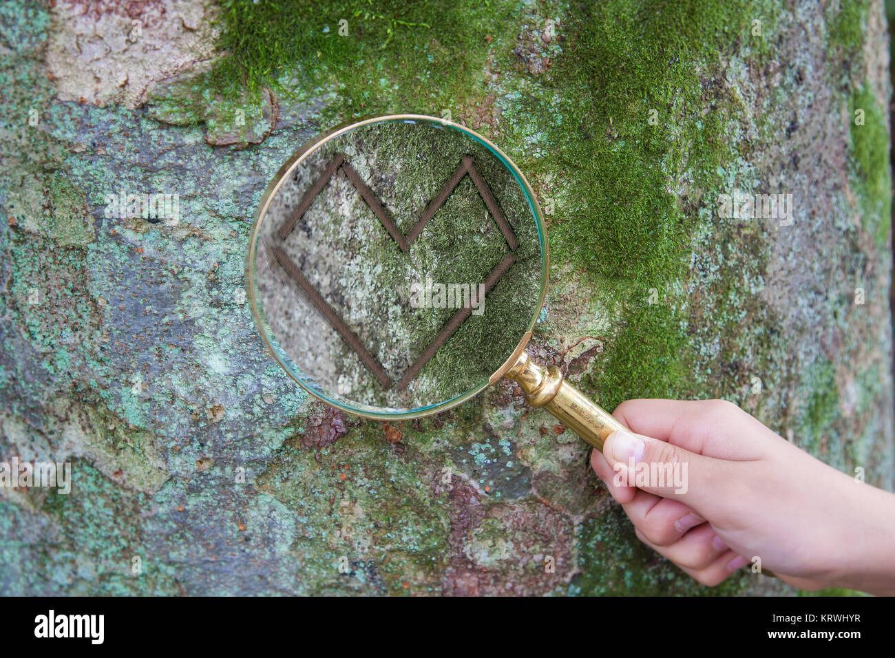 Find the true love Stock Photo - Alamy