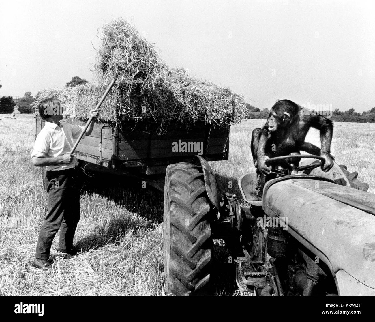 Tractor farming england hi-res stock photography and images - Alamy