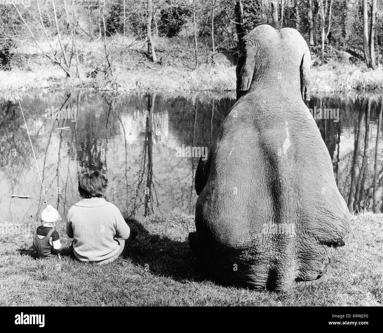 Elephant fishing, England, Great Britain Stock Photo - Alamy