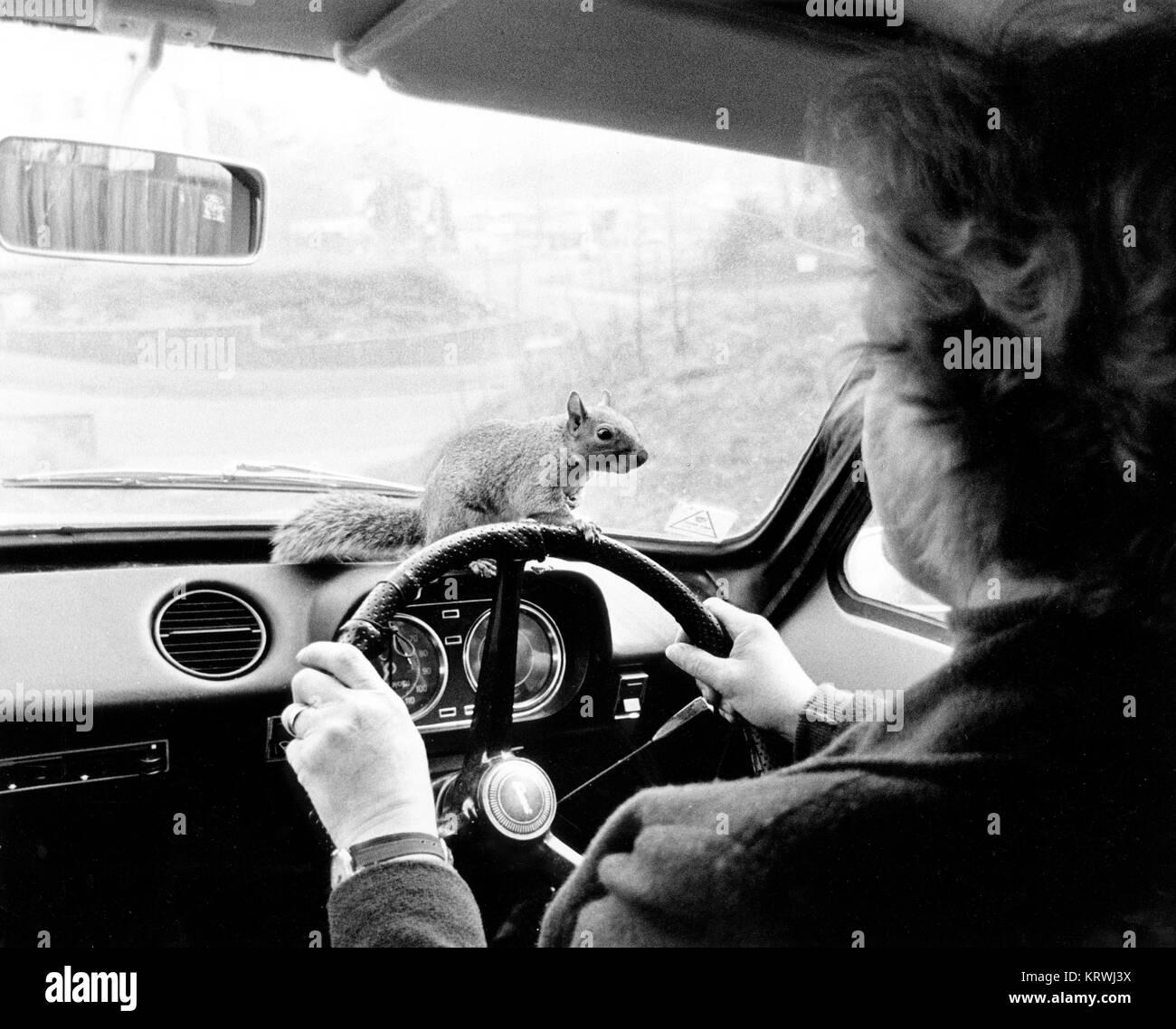 Great wheel Black and White Stock Photos & Images - Alamy