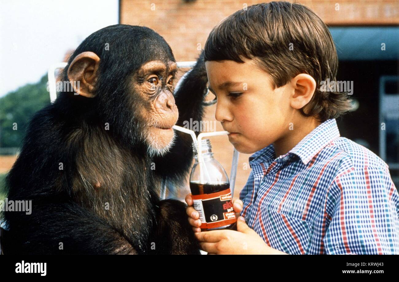 Monkey and boy share lemonade, England, Great Britain Stock Photo - Alamy